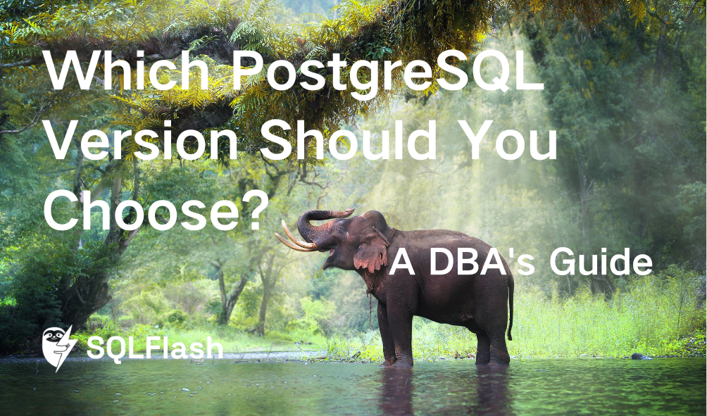 Which PostgreSQL Version Should You Choose? A DBA's Guide | SQLFlash